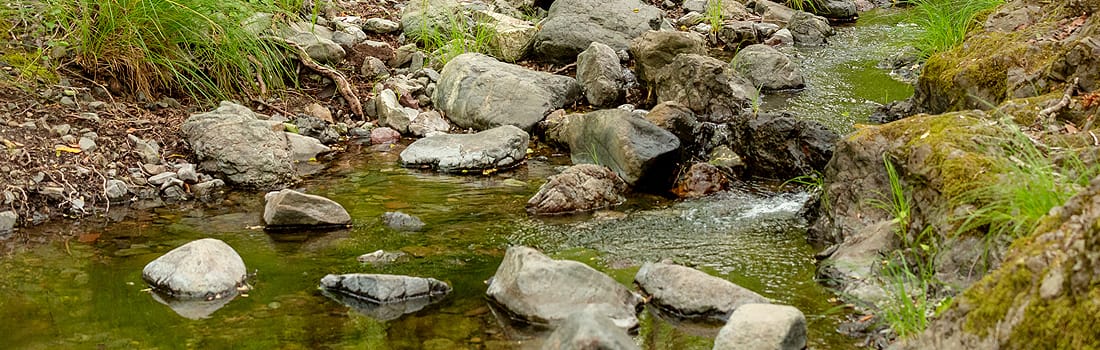 Cascade Trail Bridges | Marin County